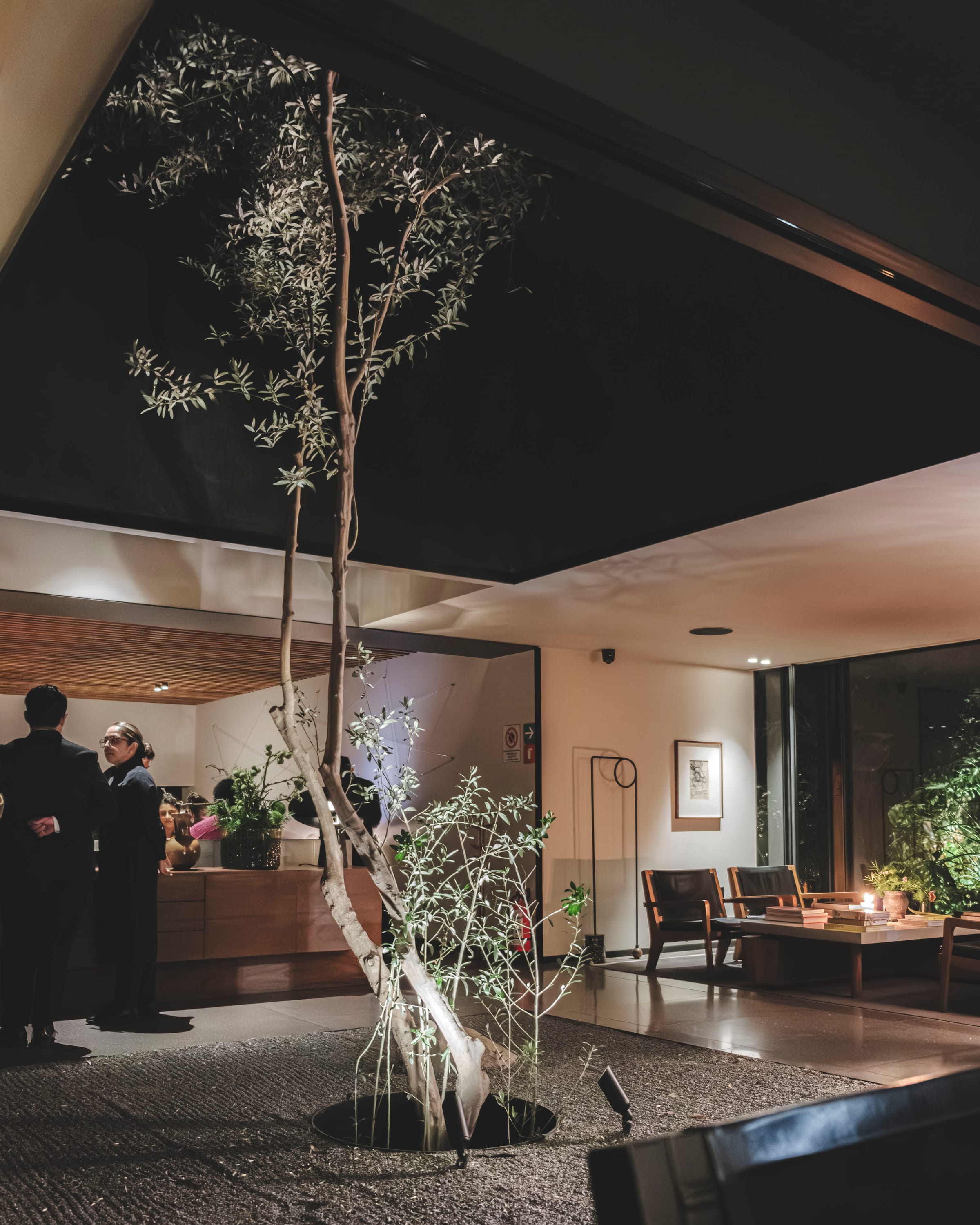 Pujol [REVIEW] – The $3,495 MXN Tasting Menu Experience of Mexico City